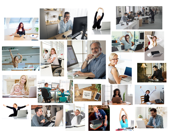 ErgoSuite Enterprise Login